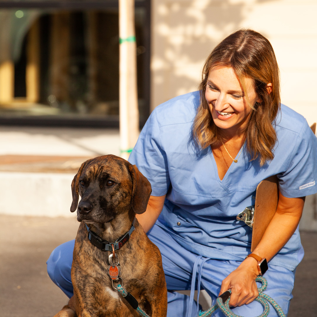 Pets Best - Brand and Website - Stoltz Marketing Group