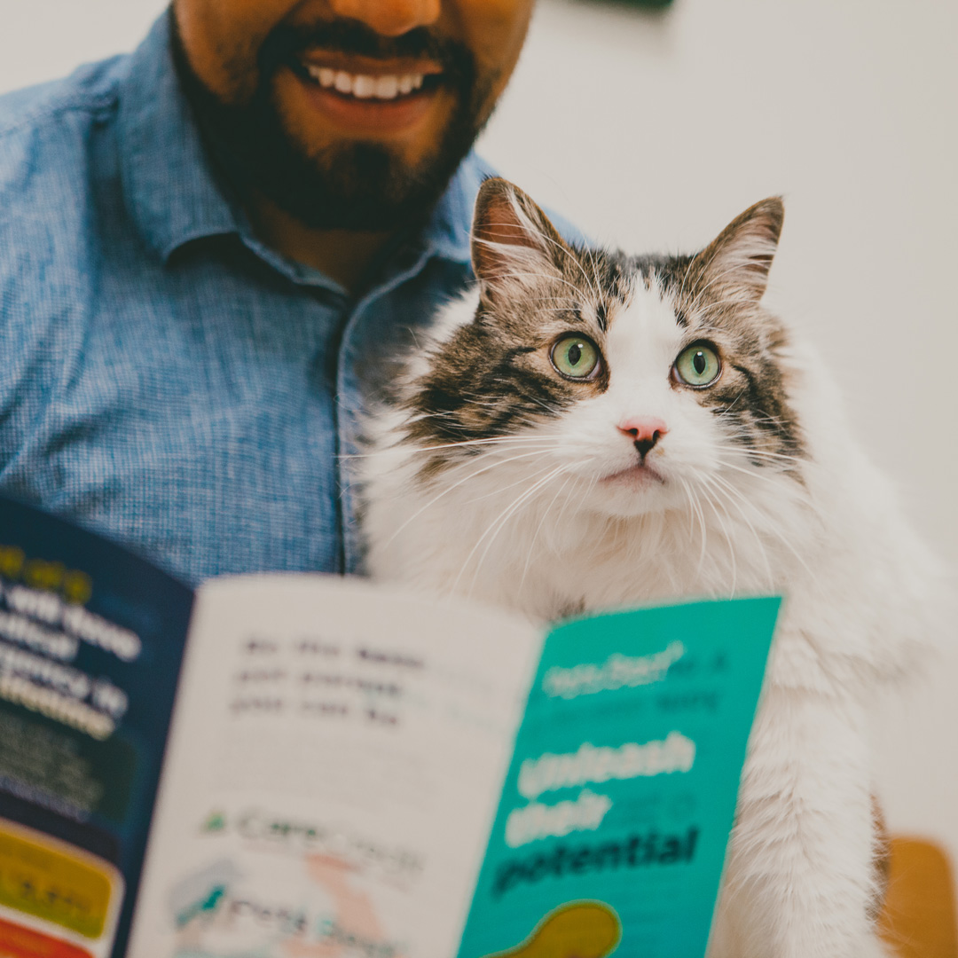 Pets Best - Brand and Website - Stoltz Marketing Group
