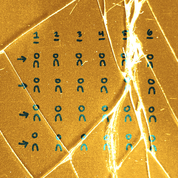 Spooky Stats - Stoltz Marketing Group